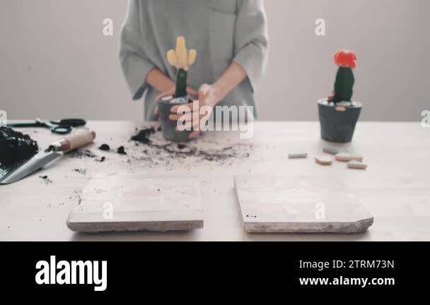 Lady rosemary Stock Videos & Footage - HD and 4K Video Clips - Alamy