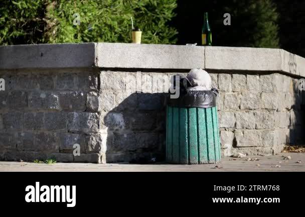 on street, sidewalk, is rubbish bin , filled to the top with trash ...