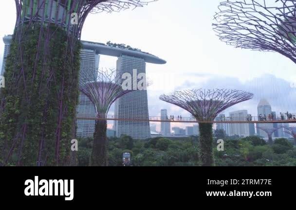 Aerial view Super tree grove in Gardens by the Bay and Marina Bay Sands ...