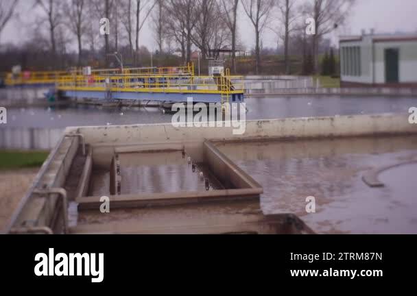 Bacteria pools Stock Videos & Footage - HD and 4K Video Clips - Alamy
