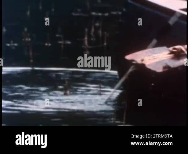 Sharp stick Stock Videos & Footage - HD and 4K Video Clips - Alamy