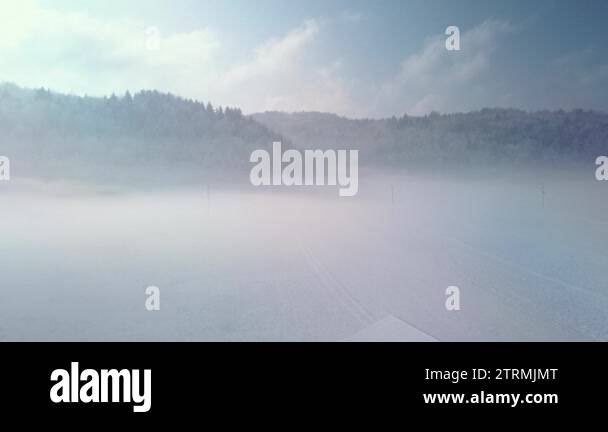 AERIAL: Rising over early morning fog on beautiful forest glade covered ...