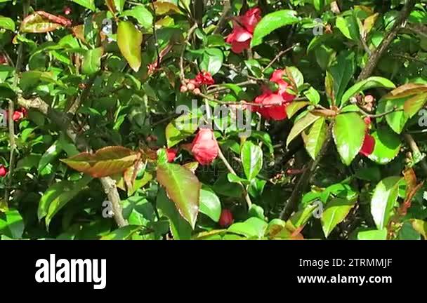 Beautiful nature with very noisy disturbing noises of motor vehicles ...