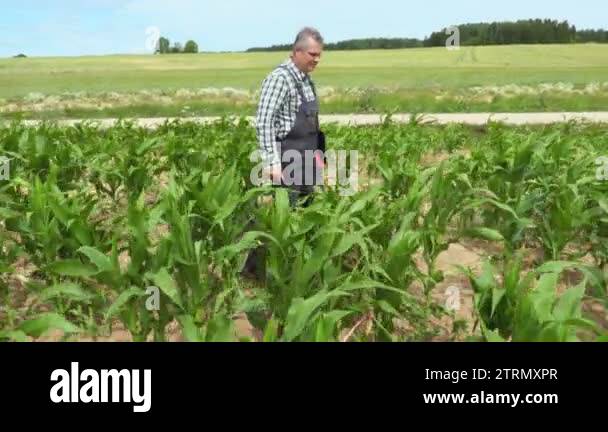 Bad field Stock Videos & Footage - HD and 4K Video Clips - Alamy