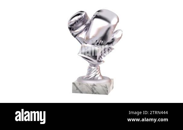 Boxing Silver Trophy with Marble Bases in Infinite Rotation on a white ...