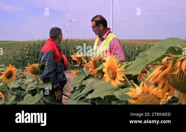 Workers talking wind turbines Stock Videos & Footage - HD and 4K Video ...