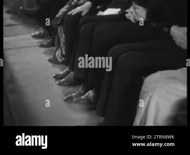 Stamping its feet Stock Videos & Footage - HD and 4K Video Clips - Alamy