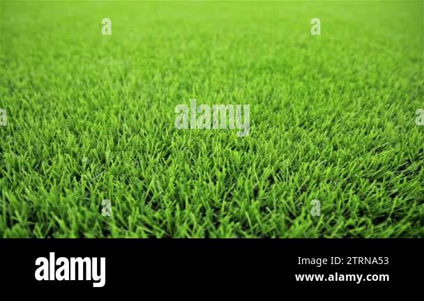 Horizontal pitch Stock Videos & Footage - HD and 4K Video Clips - Alamy