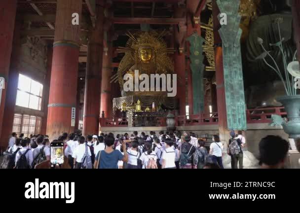 Inside todaiji temple nara japan Stock Videos & Footage - HD and 4K ...