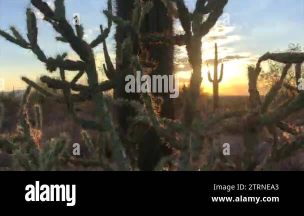 Desert arizona sunset Stock Videos & Footage - HD and 4K Video Clips ...