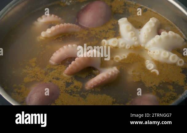 Octopus pot Stock Videos & Footage - HD and 4K Video Clips - Alamy