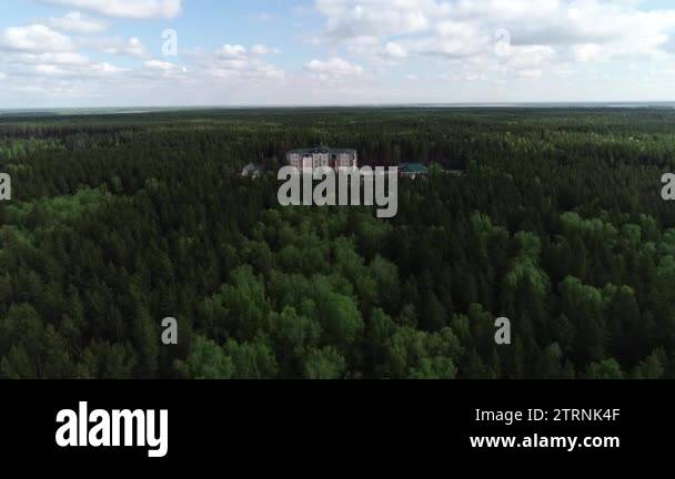 Forrest bridge Stock Videos & Footage - HD and 4K Video Clips - Alamy