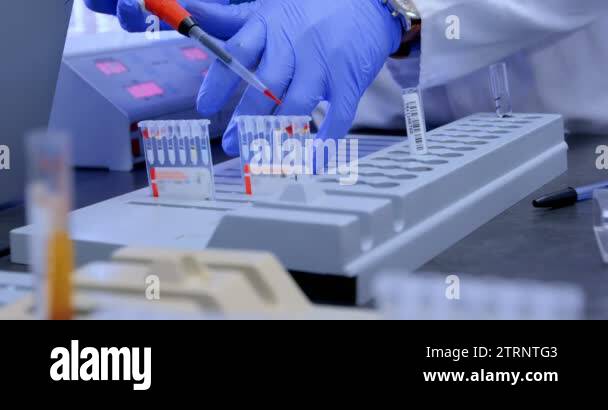 Mid section doctor testing blood sample in blood bank 4k Stock Video ...