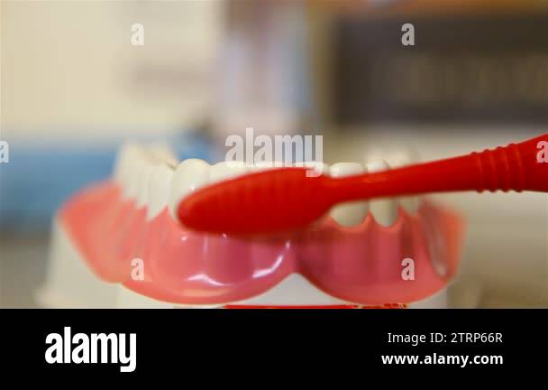Brushing teeth tutorial Stock Videos & Footage - HD and 4K Video Clips ...