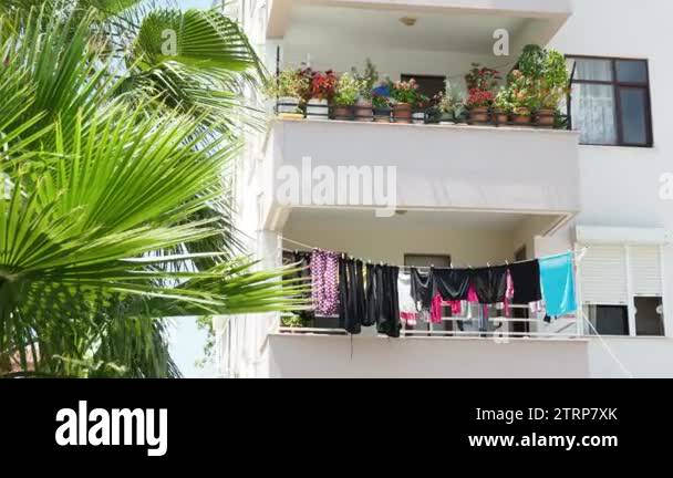 Outdoor plants balcony Stock Videos & Footage - HD and 4K Video Clips ...
