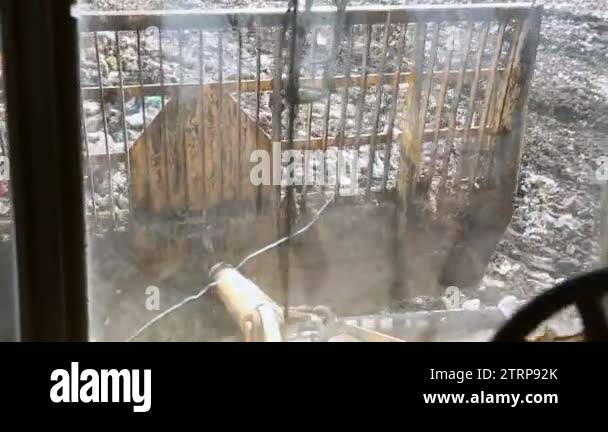 Biological decomposition Stock Videos & Footage - HD and 4K Video Clips - Alamy