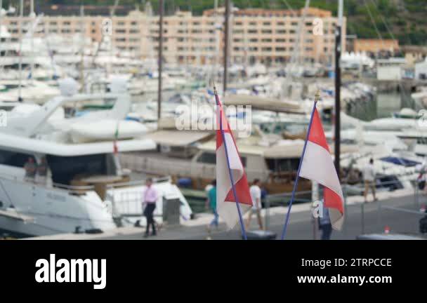 National flags of Monaco flapping in wind, defocused luxury yacht club ...