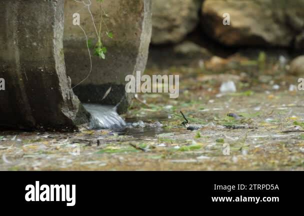 Sewage outfall pipe Stock Videos & Footage - HD and 4K Video Clips - Alamy