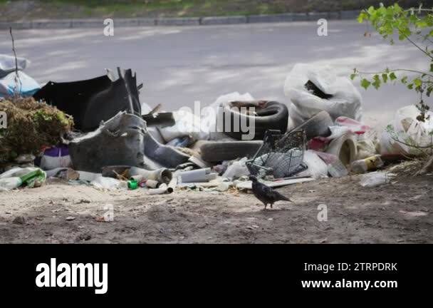 on ground, on side of road, lots of garbage is lying. scattered trash ...