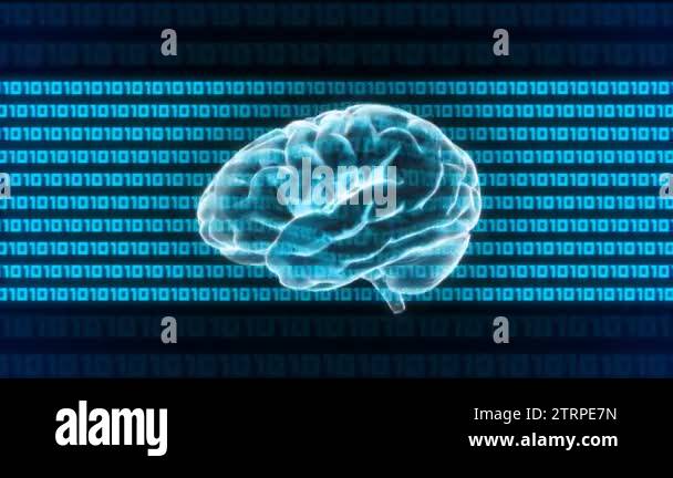 Computer X-ray Brain of technology Stock Video Footage - Alamy