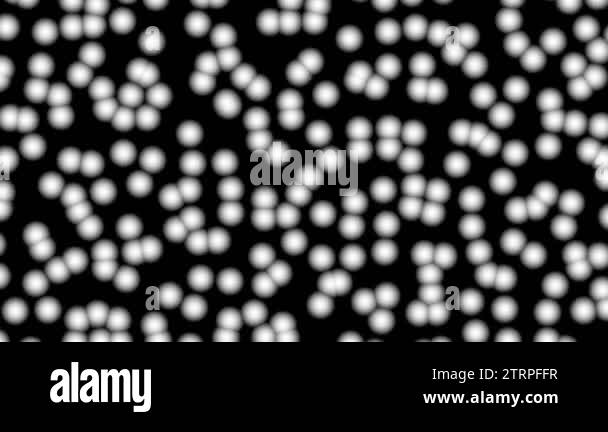 motion graphics and animated background of moving white dots on black ...