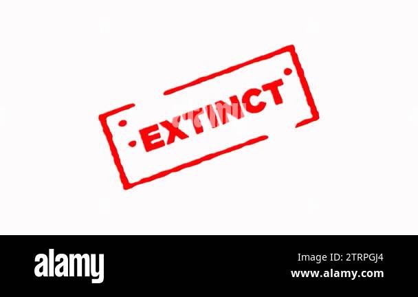Extinct stamp Stock Videos & Footage - HD and 4K Video Clips - Alamy