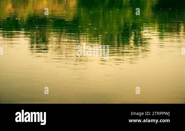 Water surface waves in river Stock Videos & Footage - HD and 4K Video ...