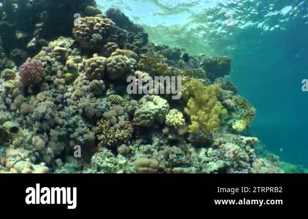 Soft slope Stock Videos & Footage - HD and 4K Video Clips - Alamy