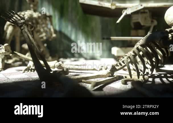 Scary skeletons in old hospital, morgue. Apocalypse horror concept ...