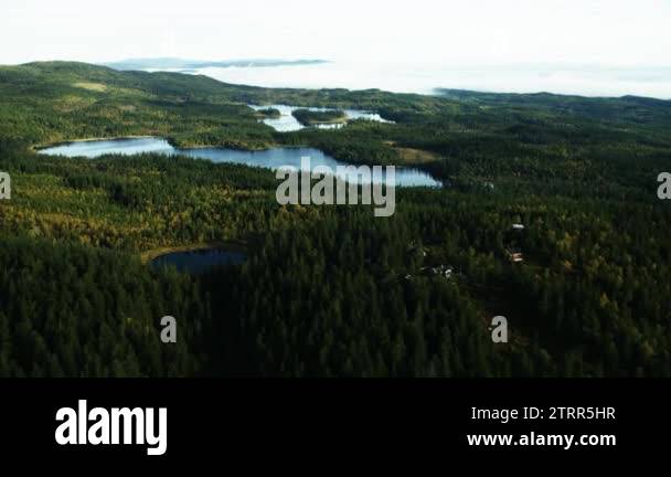 Forest from air Stock Videos & Footage - HD and 4K Video Clips - Alamy