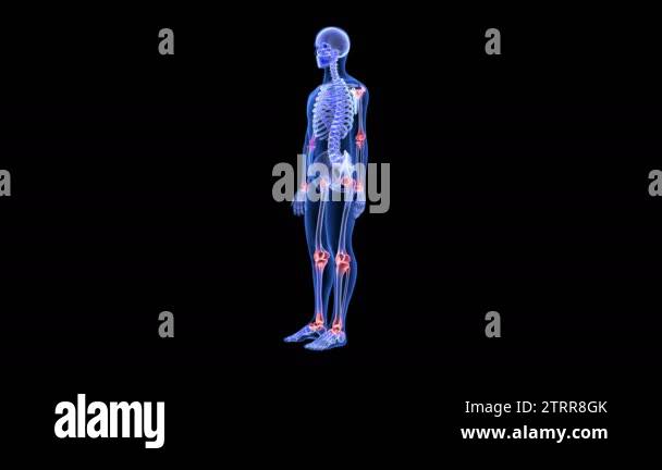 Joint Pain. Blue Human Anatomy Body 3D Scan render - rotating seamless ...