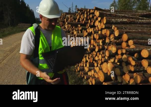 Log pile safety Stock Videos & Footage - HD and 4K Video Clips - Alamy