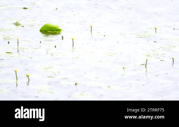 Big smooth wind Stock Videos & Footage - HD and 4K Video Clips - Alamy