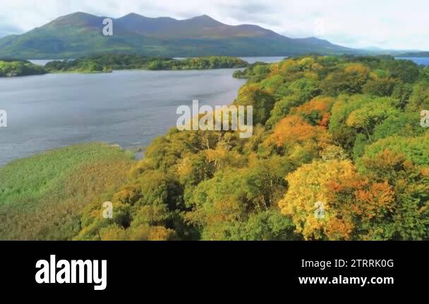 Killarney forest Stock Videos & Footage - HD and 4K Video Clips - Alamy