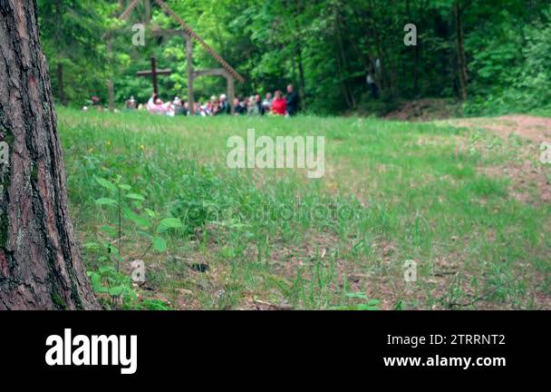 Procession of the green cross Stock Videos & Footage - HD and 4K Video ...