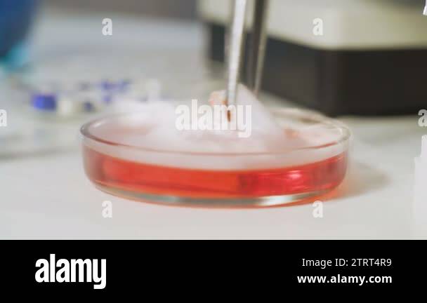 Test tutorial Stock Videos & Footage - HD and 4K Video Clips - Alamy