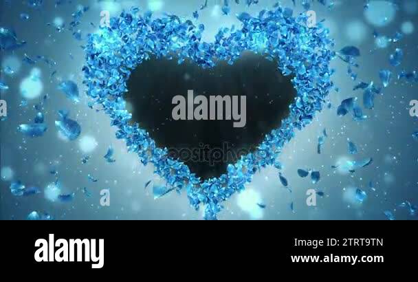 Blue Rose Flower Petals In Heart Shape Alpha Matte Loop Placeholder 4k ...