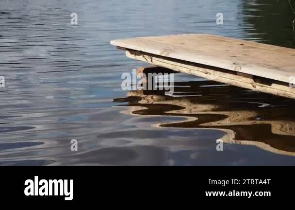 Pier timber Stock Videos & Footage - HD and 4K Video Clips - Alamy