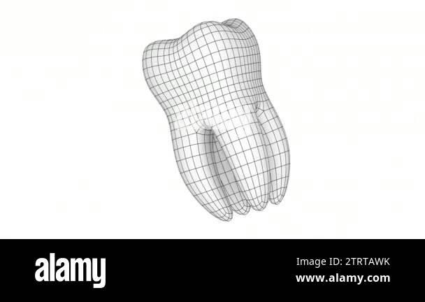 Tooth. Looping footage 4K resolution Stock Video Footage - Alamy