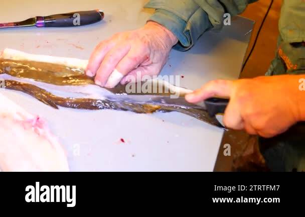Fresh raw ling fish Stock Videos & Footage - HD and 4K Video Clips - Alamy