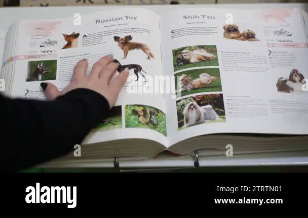 Dog breed book Stock Videos & Footage - HD and 4K Video Clips - Alamy