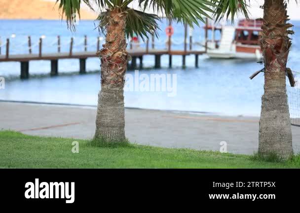 Travel destination Stock Videos & Footage - HD and 4K Video Clips - Alamy