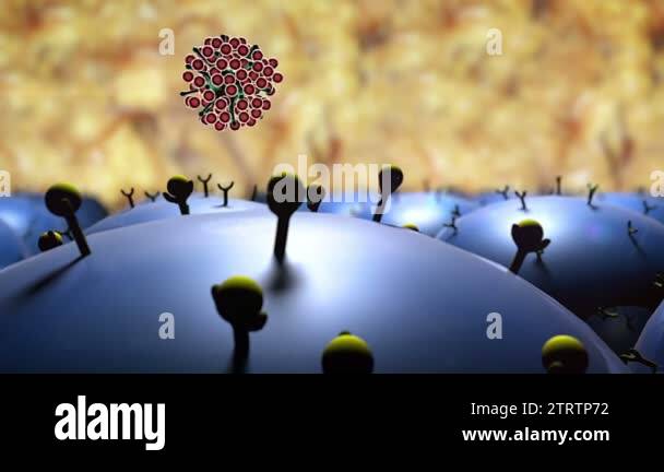 Immune mechanism Stock Videos & Footage - HD and 4K Video Clips - Alamy