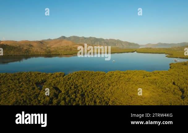 Tropical landscape, mountains, forest, bay. Busuanga, Palawan ...