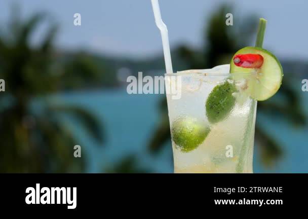 Sea ginger Stock Videos & Footage - HD and 4K Video Clips - Alamy