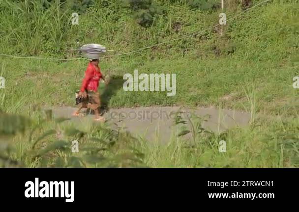 Asian woman carrying things on head Stock Videos & Footage - HD and 4K ...