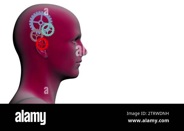 rotating gears inside of the head Stock Video Footage - Alamy