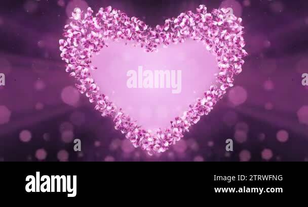 Pink Rose Sakura Flower Petals In Heart Shape Alpha Matte Loop ...