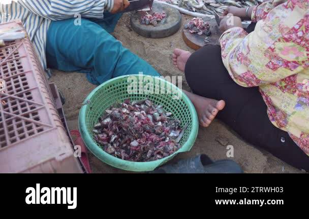 Waste ground off Stock Videos & Footage - HD and 4K Video Clips - Alamy