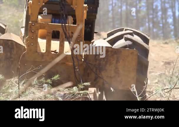 Cylindrical bole Stock Videos & Footage - HD and 4K Video Clips - Alamy